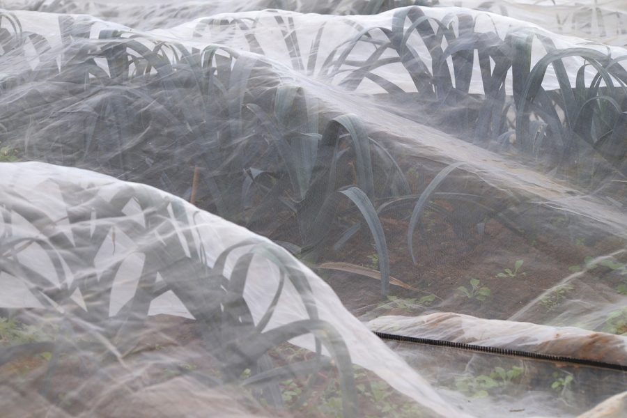Comment protéger ses récoltes avec un filet de protection ...