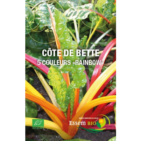 Côte de bette 5 couleurs « Rainbow » Bio - MonJardinBio.com
