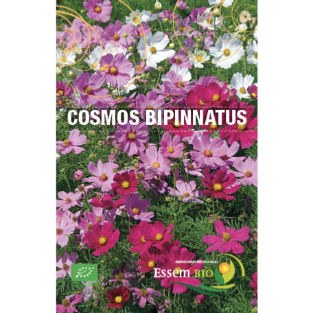 Cosmos Bipinnatus bio - MonJardinBio.com